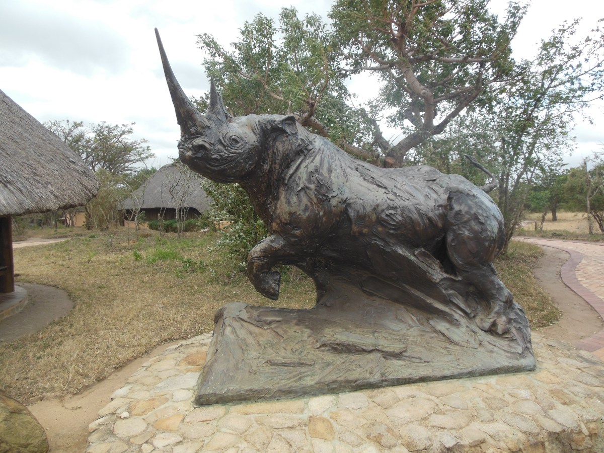 Hluhluwe-Imfolozi Park, aka HIP – Traveling again? Galavanting with ...