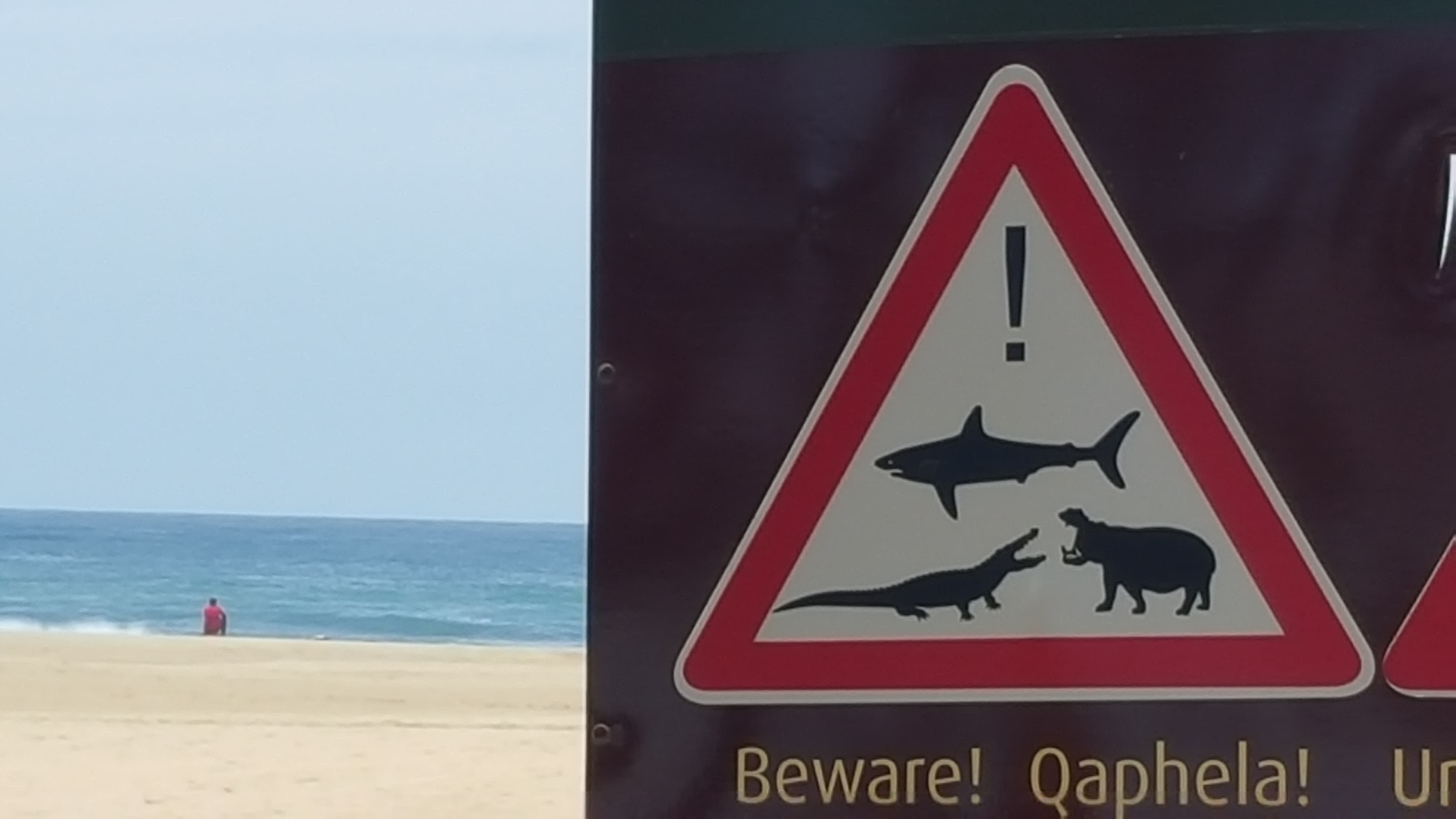 Hluhluwe-Imfolozi Park, aka HIP – Traveling again? Galavanting with ...