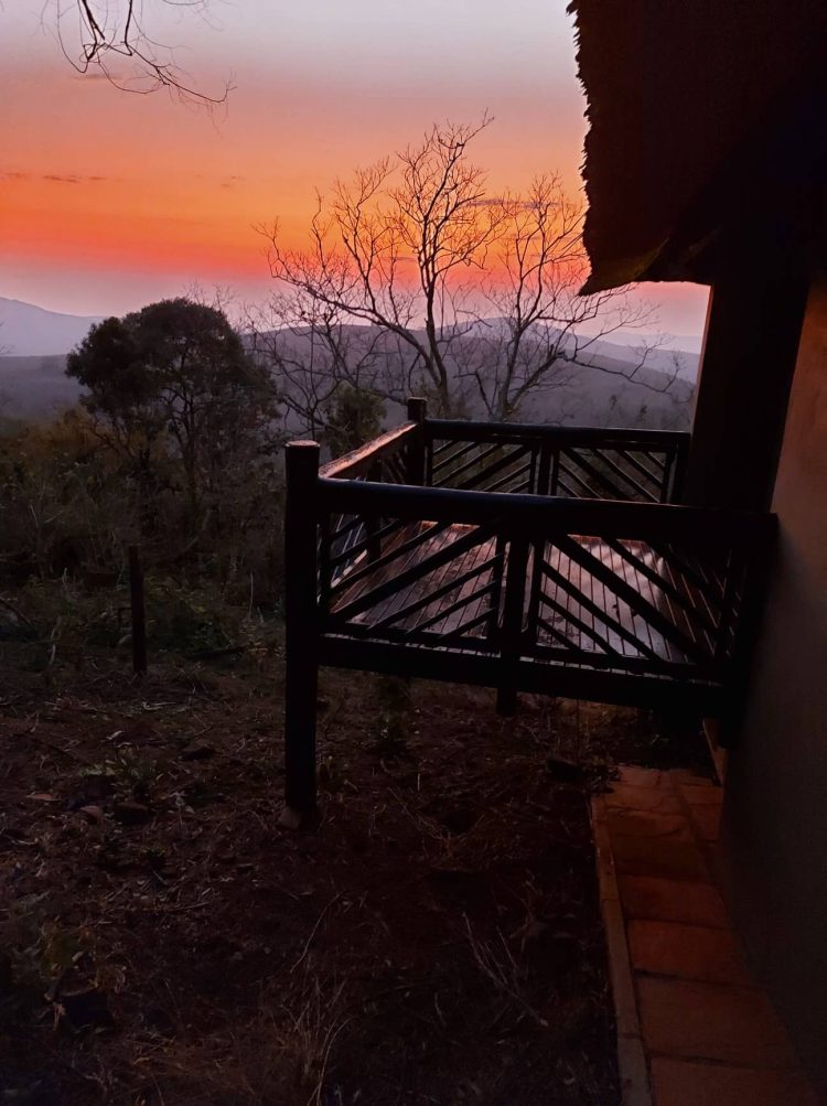 Hluhluwe-Imfolozi Park, aka HIP – Traveling again? Galavanting with ...
