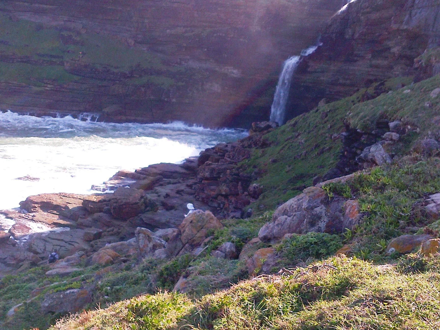Magwa Falls and Magwa Tea Estate in Pondoland, South Africa – Traveling ...