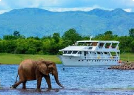 The Nyami Nyami of Zimbabwe. – Traveling again? Galavanting with ...